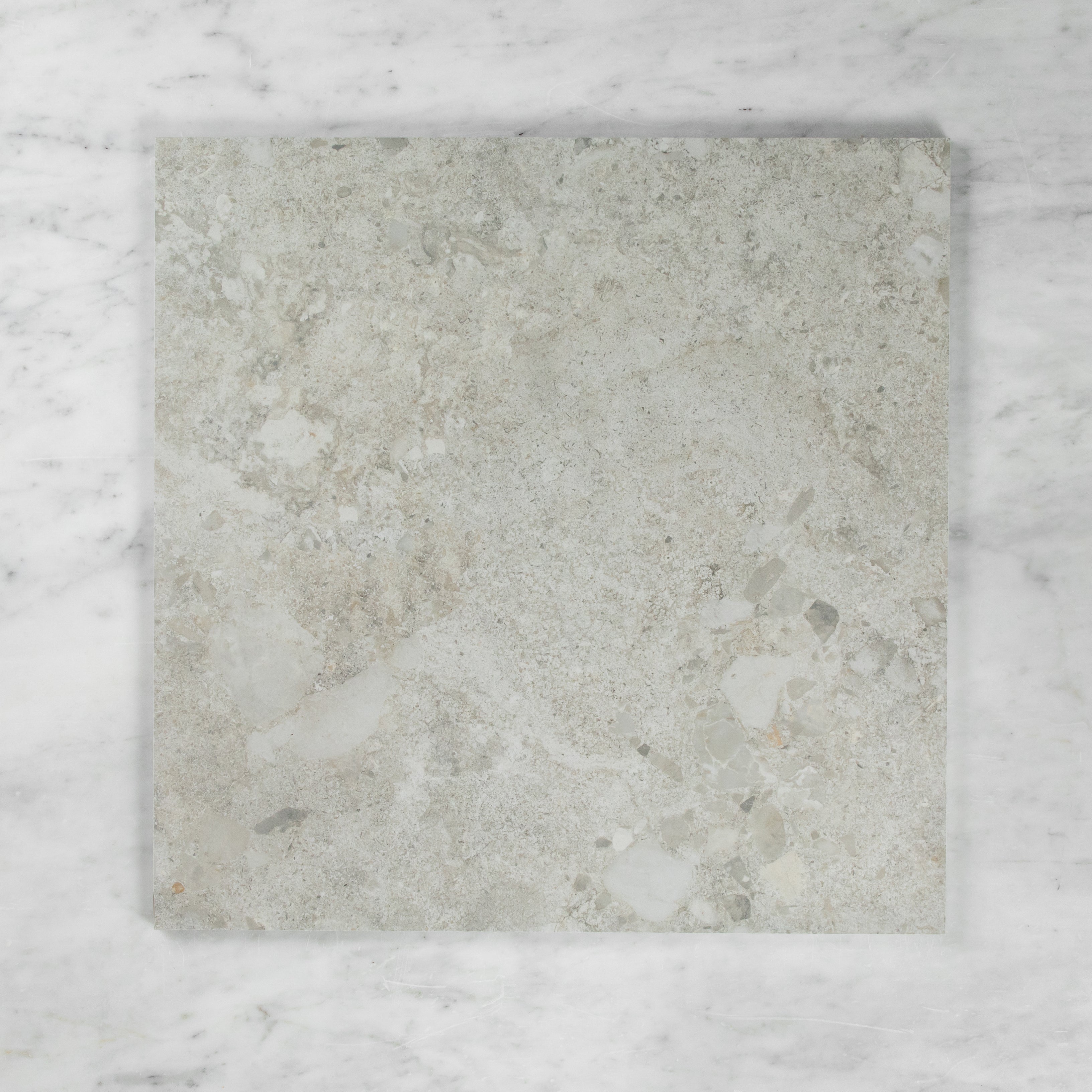 Terrazzo Positano Sand Matt – The Tile Collective